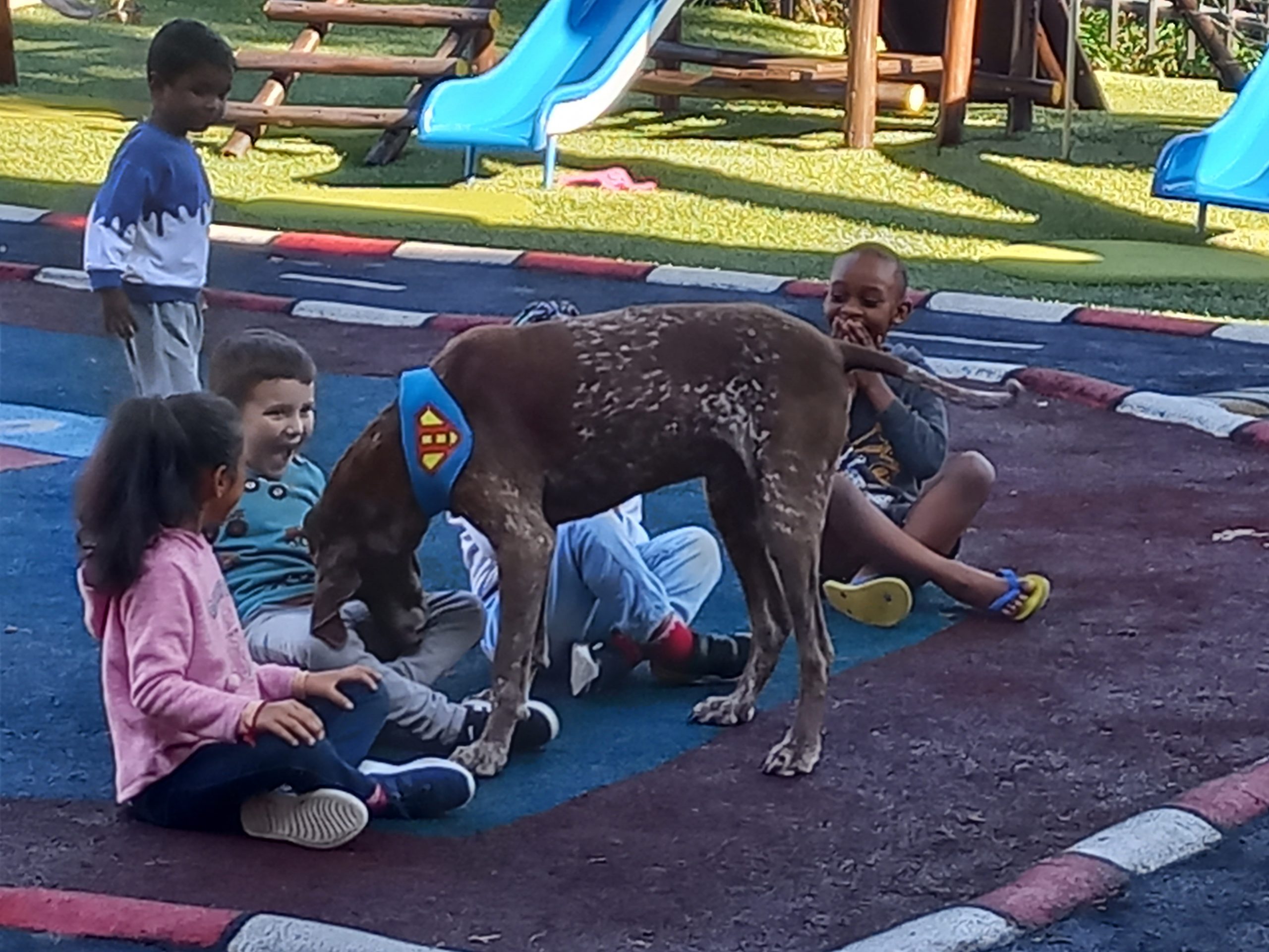 Gallery - Montrose Pre-Primary